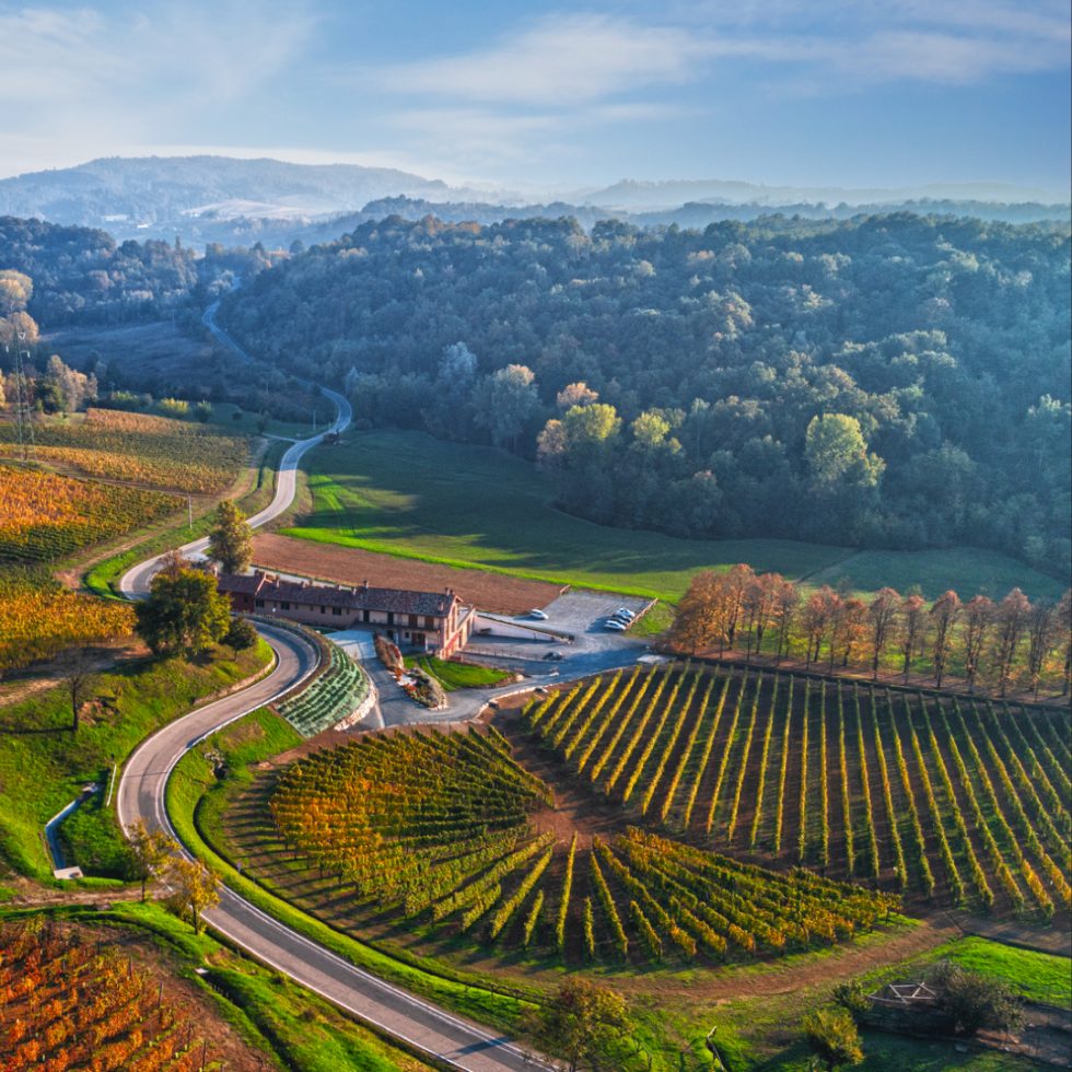 Cascina Binè | Il nostro Vino è una storia di Famiglia